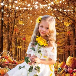 CYLYH 10x8ft Fall Photography Backdrop Autumn Maple Forest Leaves Pumpkin Party Background Thanksgiving Party Supplies Farm Harvest Event Banner Thanksgiving Photo Booth Props CY579