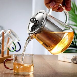 Glass Teapot with Removable Stainless Steel Infuser, Borosilicate Glass Tea Pot with Strainer,for Blooming Tea & Loose Leaf Tea, Microwave & Stovetop Safe（19oz ）