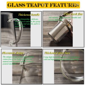 Glass Teapot with Removable Stainless Steel Infuser, Borosilicate Glass Tea Pot with Strainer,for Blooming Tea & Loose Leaf Tea, Microwave & Stovetop Safe（19oz ）