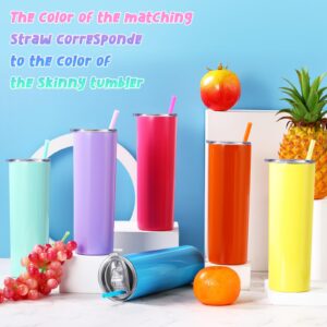 Potchen 12 Pcs Insulated Tumblers Bulk Skinny Tumbler with Lids and Straws 20 oz Blank Stainless Steel Travel Slim Cups Individually Gift for Coworkers Kids Students, 12 Colors