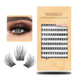 wonsis lash clusters, 120 pcs individual lashes cluster, soft and lightweight individual lashes, 0.07 thickness c curl synthetic reusable artificial diy lash extension (volume-medium 12mm)