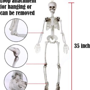 Sizonjoy 35" Posable Halloween Skeleton, Full Body Joints Plastic Skeleton with Movable/Posable Joints,Perfect for Halloween Haunted House Props Decorations Outdoor