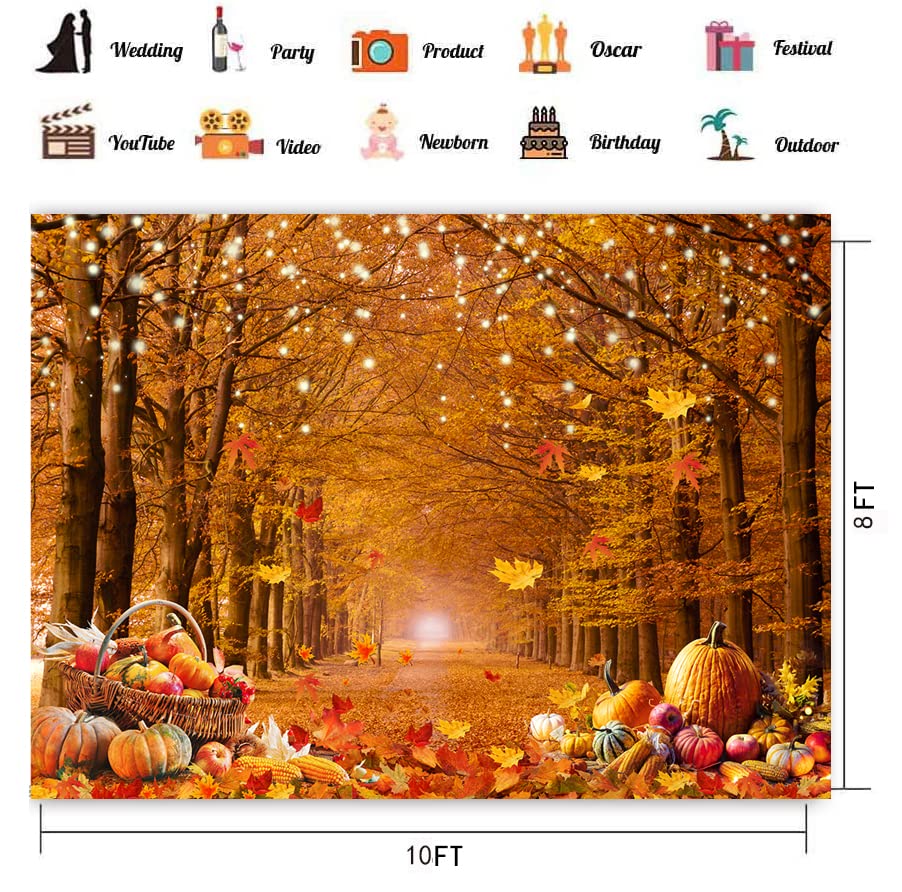 CHAIYA 10x8ft Autumn Maple Forest Photography Backdrop Autumn Harvest Backdrop Thanksgiving Background Pumpkin Decoration Party Backdrops Thanksgiving Backdrops Fall Photo Backdrops CY-238