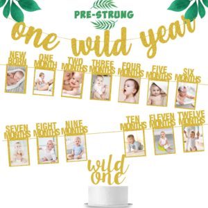 wild one birthday decorations - gold glitter one wild year banner + baby 1st birthday photo banner from newborn to 12 month - safari, jungle & wild one birthday decorations