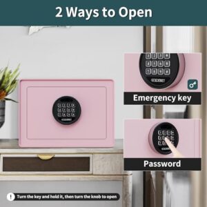 GOLDENKEY Digital Security Safe and Lock Box,Small Safe box for Money, Keypad Lock,Perfect for Home Office Hotel Business Jewelry Gun Use Storage,0.5 Cubic Feet,Pink