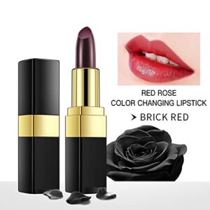 Axnzp Magic Temperature Changing Colors Lipstick,Long Lasting Waterproof Magic Color Changing Lipstick, Lip Stain Gloss Moisturizing for Women(Black Change into Brick Red)