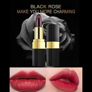 Axnzp Magic Temperature Changing Colors Lipstick,Long Lasting Waterproof Magic Color Changing Lipstick, Lip Stain Gloss Moisturizing for Women(Black Change into Brick Red)