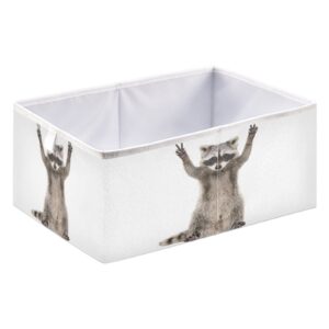 Kigai Raccoon Say Yeah Cube Storage Bins - 11x11x11 In Large Foldable Storage Basket Fabric Storage Baskes Organizer for Toys, Books, Shelves, Closet, Home Decor