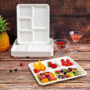 WDF 125 Pack Disposable Plates with Compartment - 100% Compostable Plates Disposable, 8 * 10 inch Heavy Duty Paper Plates with 5 Compartment Biodegradable Plates for School Lunch Trays