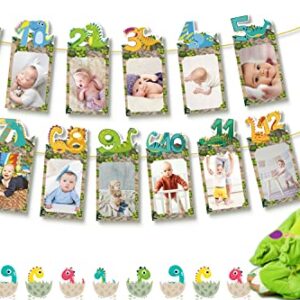 Dinosaur First Birthday Decorations, 1st Birthday Photo Banner for From Newborn to 12 Months Baby, Wild One Birthday Decorations, Monthly Milestone Photo Booth Props for Safari Dino Birthday Decor