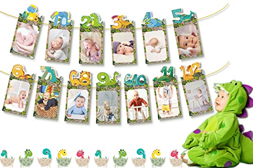 Dinosaur First Birthday Decorations, 1st Birthday Photo Banner for From Newborn to 12 Months Baby, Wild One Birthday Decorations, Monthly Milestone Photo Booth Props for Safari Dino Birthday Decor