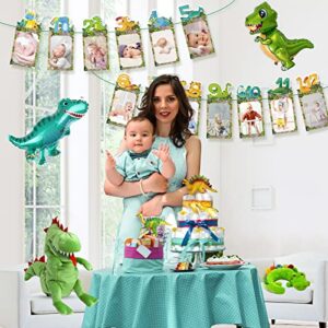 Dinosaur First Birthday Decorations, 1st Birthday Photo Banner for From Newborn to 12 Months Baby, Wild One Birthday Decorations, Monthly Milestone Photo Booth Props for Safari Dino Birthday Decor