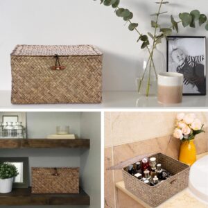 Hipiwe Wicker Shelf Baskets Bin with Lid Handwoven Seagrass Storage Basket Container Square Multipurpose Household Basket Boxes for Shelves and Home Organizer, Coffee Small