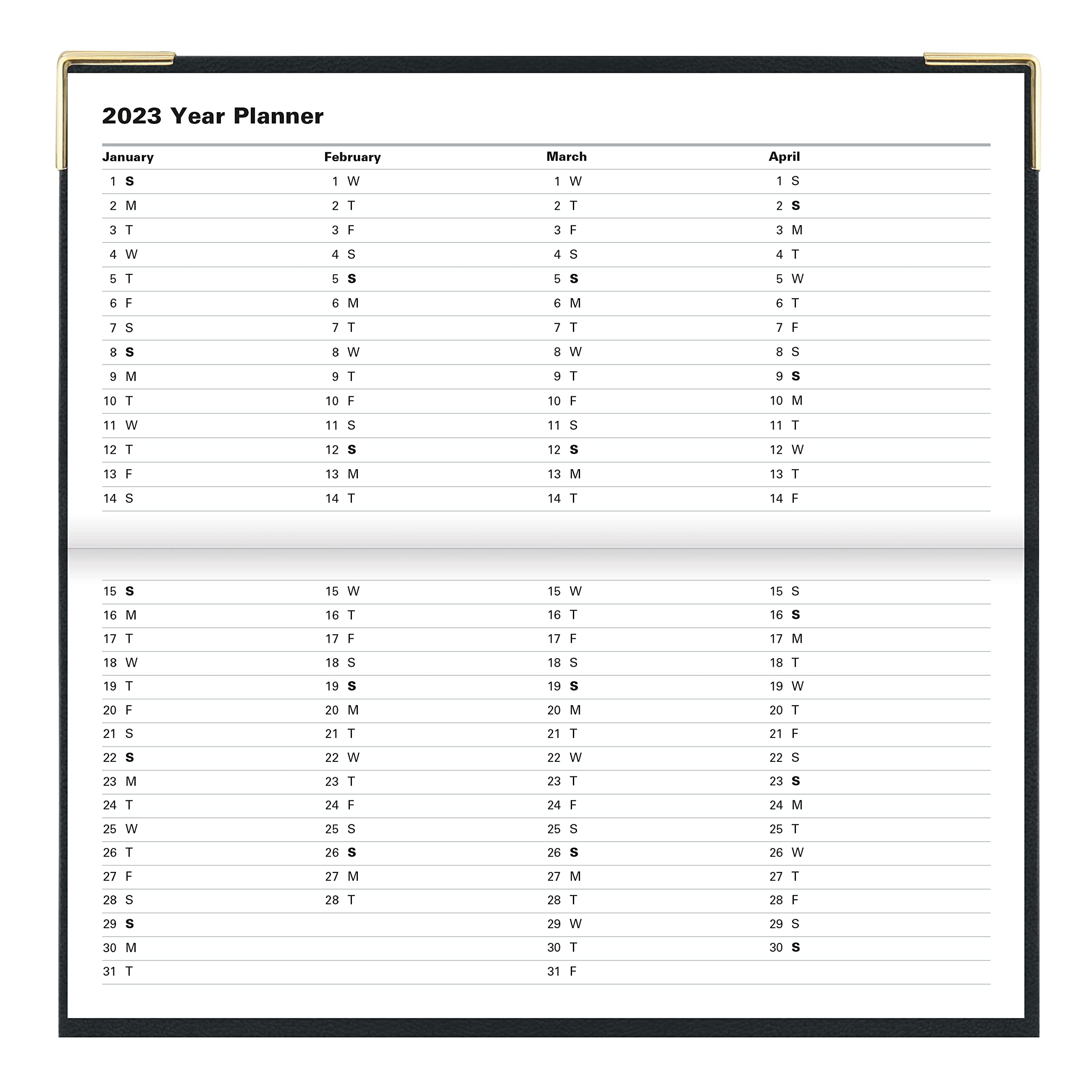 Letts Roma Monthly Planner, Slim Size, 13 Months, January 2023 to January 2024, Month-to-View, Horizontal, Gold Corners, 6.625" x 3.25", Black (C13SBK-23)