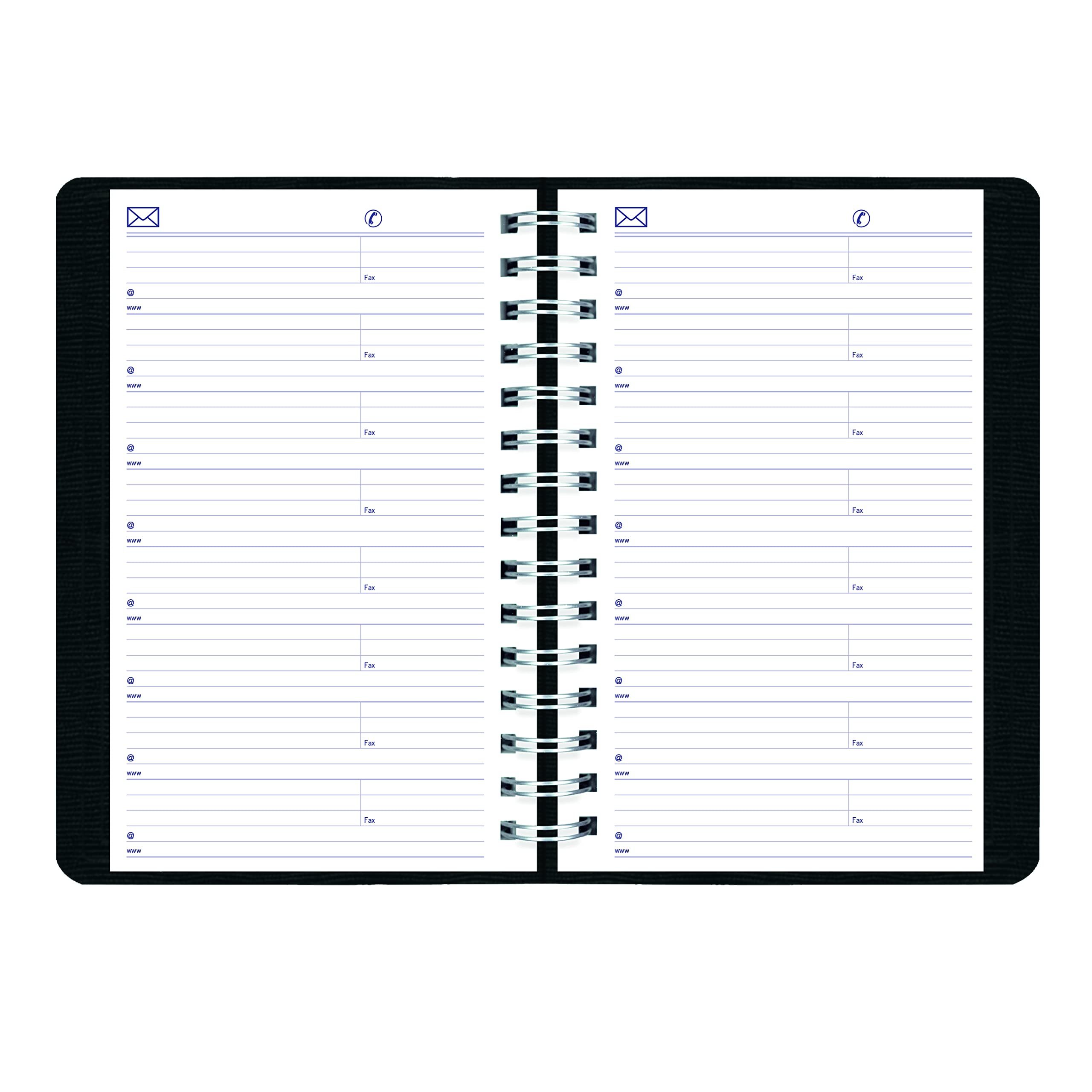 Blueline DuraGlobe Daily Planner, 30-Minute Appointments, 8 x 5, Black Soft Cover, 12-Month (Jan to Dec): 2023