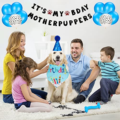 Dog Birthday Party Supplies Dog Birthday Decorations Lets Pawty Balloons Banner Dog Birthday Bandana toy Dog Birthday Boy Hat Scarfs Balloon with Cute Doggie Decorations