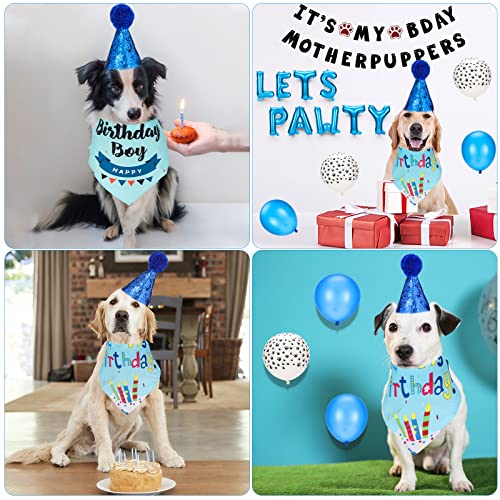 Dog Birthday Party Supplies Dog Birthday Decorations Lets Pawty Balloons Banner Dog Birthday Bandana toy Dog Birthday Boy Hat Scarfs Balloon with Cute Doggie Decorations