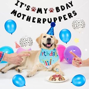 Dog Birthday Party Supplies Dog Birthday Decorations Lets Pawty Balloons Banner Dog Birthday Bandana toy Dog Birthday Boy Hat Scarfs Balloon with Cute Doggie Decorations