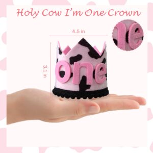 Fiesec Holy Cow I'm One Birthday Decorations, Cow First Birthday Party Supplies Girl, Cow Print 1st Decorations, 1st Birthday Girl Decorations