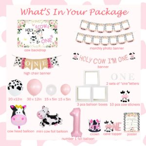 Fiesec Holy Cow I'm One Birthday Decorations, Cow First Birthday Party Supplies Girl, Cow Print 1st Decorations, 1st Birthday Girl Decorations