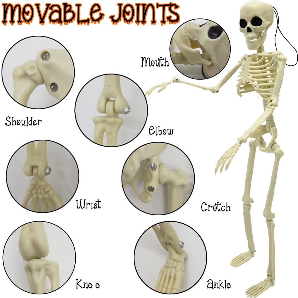 6PCS Skeleton Halloween Decorations, 16 in Full Body Poseable Small Skeleton Plastic Bones with Movable Posable Joints for Halloween Indoor Outdoor Party, Graveyard, Haunted House Accessories