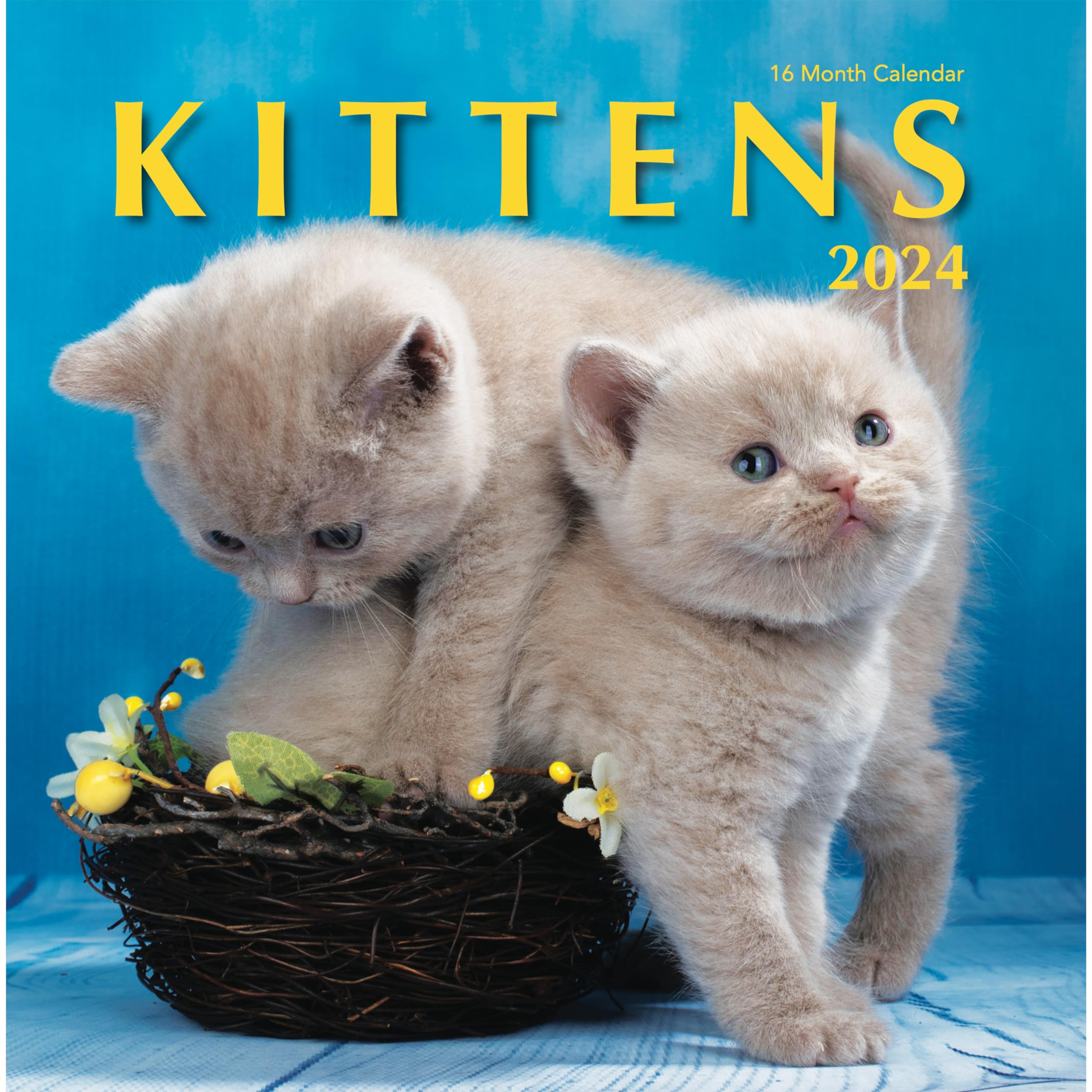 Kittens 2024 Hangable Wall Calendar - 12" x 24" Open - Cute Kitty Cat Photo Gift - Sturdy Thick Beautiful Kitten Photography - Large Full Page 16 Months for Organizing & Planning - Includes 2023