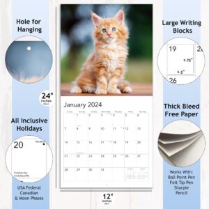 Kittens 2024 Hangable Wall Calendar - 12" x 24" Open - Cute Kitty Cat Photo Gift - Sturdy Thick Beautiful Kitten Photography - Large Full Page 16 Months for Organizing & Planning - Includes 2023