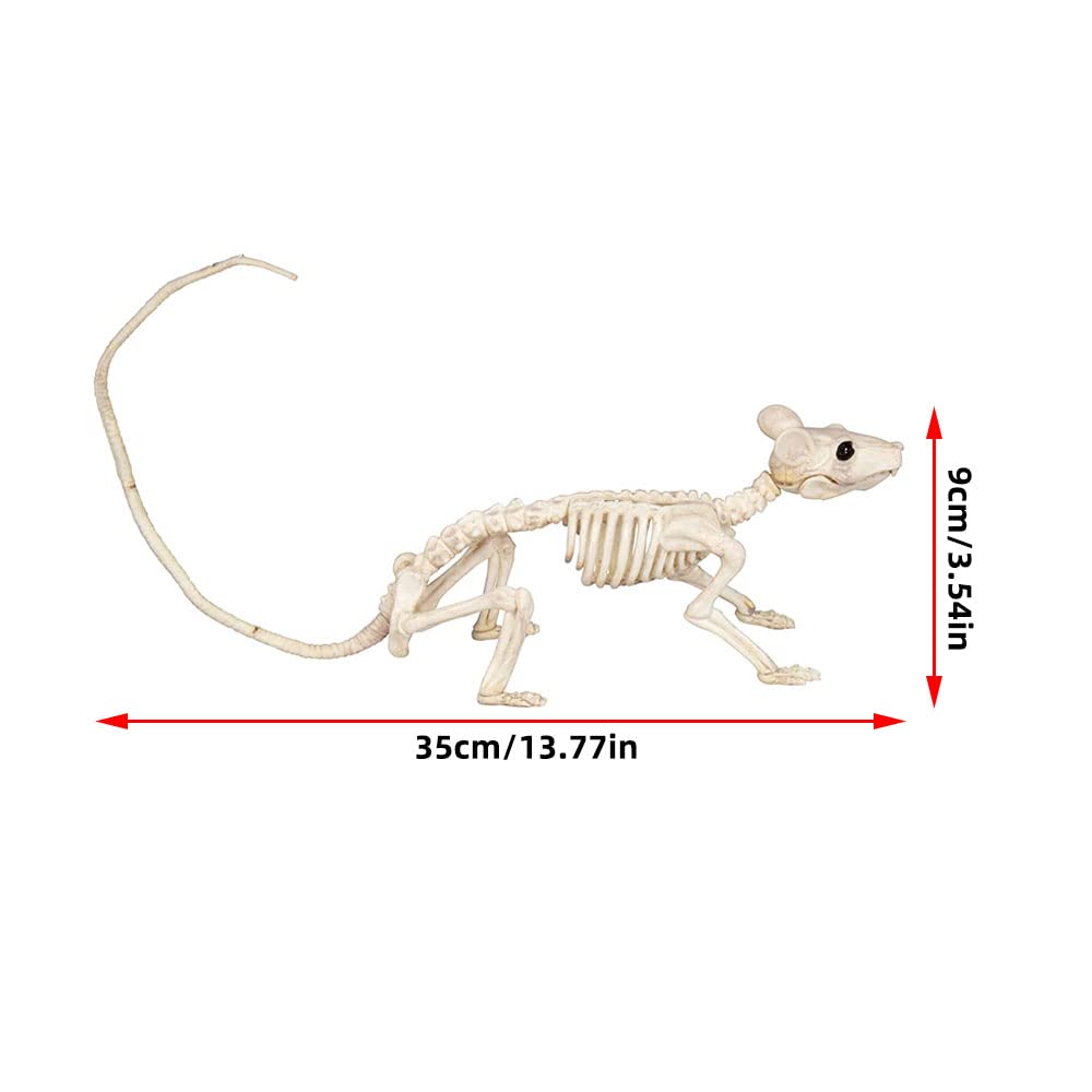 Medou Halloween Rat Skeletons,Rat Skeleton for Halloween Decorations, Weather Resistant Yard Decorations w Bendable Tails and Movable Jaws,Great Prop for Party Decor (Rat)