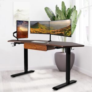 Frassie 71” Electric Standing Desk with LED Control Handle, Adjustable Height Sit Stand Wing-Shaped Desk with Drawer