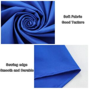 10x10FT Royal Blue Backdrop Curtain for Party - Royal Blue Backdrop for Baby Shower Birthday Photo Home Party Backdrop Curtains 5x10FT 2 Panels