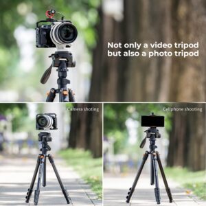 K&F Concept Camera Tripod, 70" for Camera Cellphone Photograghy Video Recording, with Outdoor Travel Bag, Cellphone Holder and Quick Release Plate, Holds up to 3kg/6.6lb Load