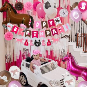 Western Cowgirl Pink Birthday Party Decoration, Retro Horse Rodeo Party Supplies for Girls Including Birthday Banner, Horses Garland, Horse Star Balloons, Tissue Pom Poms, Cake Toppers (Pink Cowgirl)