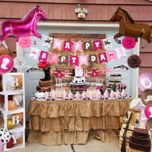 Western Cowgirl Pink Birthday Party Decoration, Retro Horse Rodeo Party Supplies for Girls Including Birthday Banner, Horses Garland, Horse Star Balloons, Tissue Pom Poms, Cake Toppers (Pink Cowgirl)