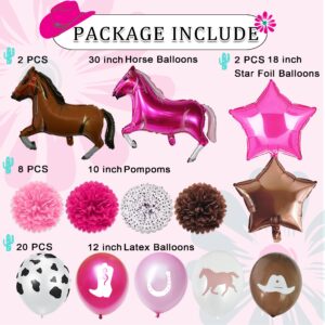 Western Cowgirl Pink Birthday Party Decoration, Retro Horse Rodeo Party Supplies for Girls Including Birthday Banner, Horses Garland, Horse Star Balloons, Tissue Pom Poms, Cake Toppers (Pink Cowgirl)