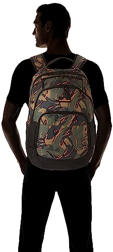 Quiksilver Men's 1969 Special Backpack, Woodland CAMO, One Size