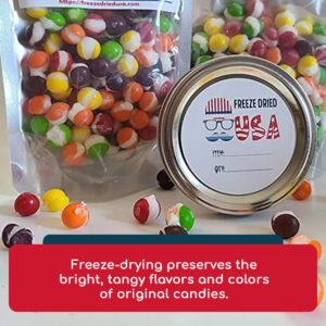 Crunchy Freeze-Dried Skittles Candy – Original Fruit Flavored Hard Candy Variety Pack – Hard Candy Bulk Pack Perfect for Snacking & Dessert Topping (8 oz) – Colorful, Fun, Gluten-Free Mixed Candy