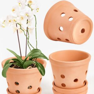 vensovo 6 Inch Terracotta Orchid Pots with Holes and Saucers - 3 Pcs Small Clay Orchid Planter Pots for Repotting, Plant Flower Pots for Orchid Indoor and Outdoor Promotes Air Circulation