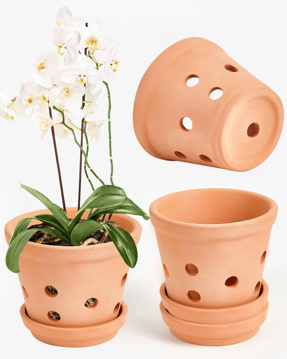 vensovo 6 Inch Terracotta Orchid Pots with Holes and Saucers - 3 Pcs Small Clay Orchid Planter Pots for Repotting, Plant Flower Pots for Orchid Indoor and Outdoor Promotes Air Circulation