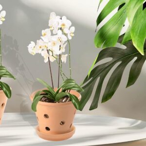 vensovo 6 Inch Terracotta Orchid Pots with Holes and Saucers - 3 Pcs Small Clay Orchid Planter Pots for Repotting, Plant Flower Pots for Orchid Indoor and Outdoor Promotes Air Circulation