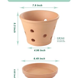 vensovo 6 Inch Terracotta Orchid Pots with Holes and Saucers - 3 Pcs Small Clay Orchid Planter Pots for Repotting, Plant Flower Pots for Orchid Indoor and Outdoor Promotes Air Circulation