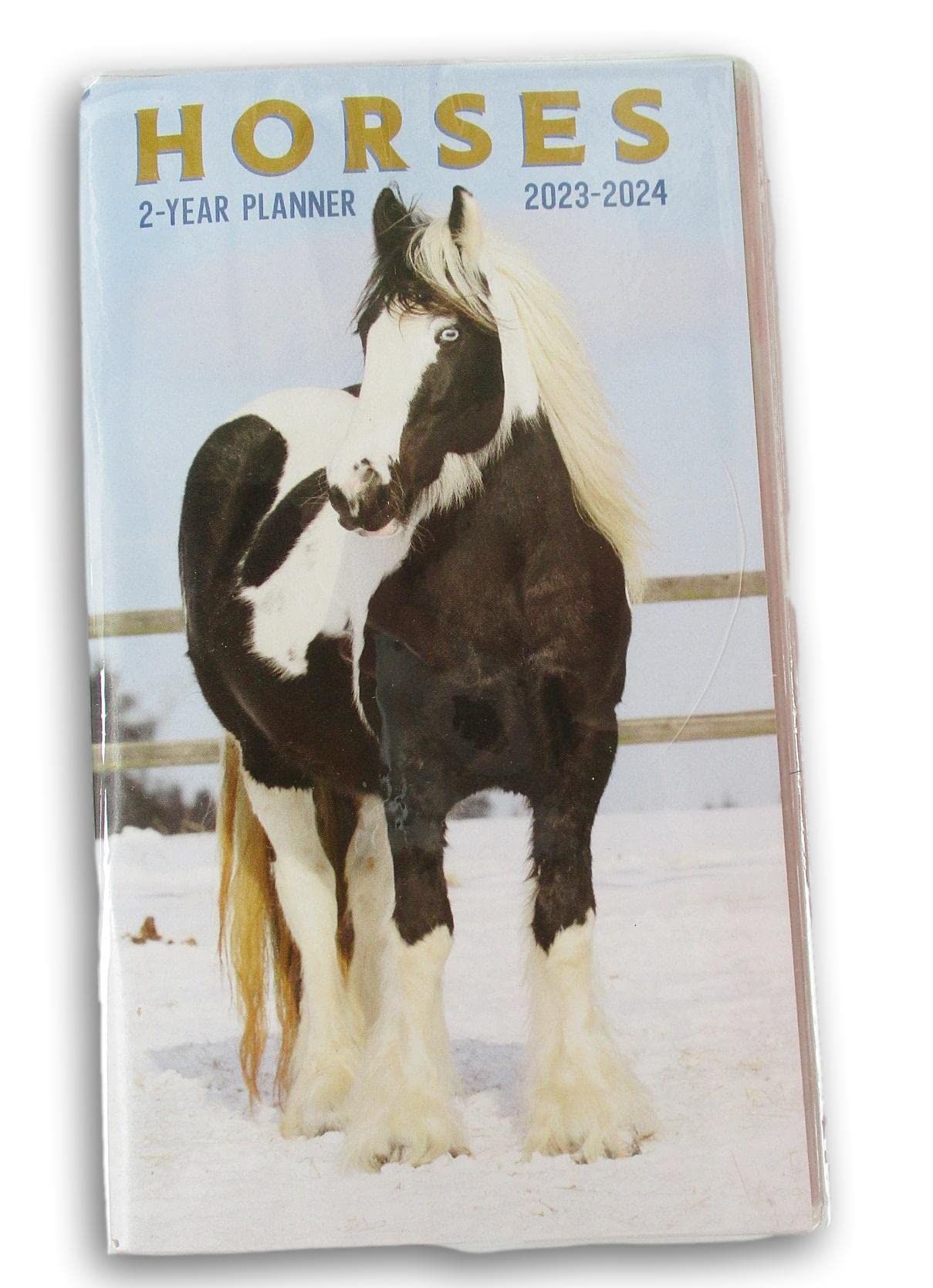 Jot Scenic 2-Year Miniature Monthly Planner Book for 2023-2024 (Horses)