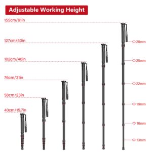 Manbily Camera Monopod Aluminum Portable Compact Lightweight Travel Monopod with Carrying Bag Walking Stick Handle,for DSLR Canon Nikon Sony Video Camcorder,6 Sections up to 61-in (A-555L)