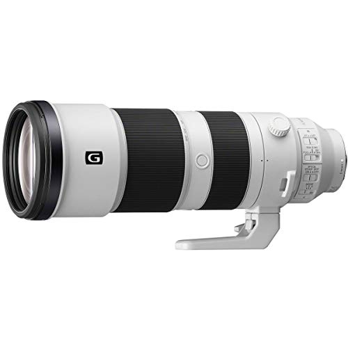 Sony FE 200-600mm f/5.6-6.3 G OSS Lens for Sony E, Bundle with ProOptic 95mm Filter Kit, Lens Wrap, Lens Cleaner, Cleaning Kit, Universal Lens Cap Tether