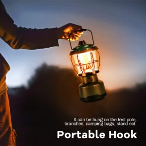 LED Camping Lantern, Rechargeable Batteries Powered Lantern 2500LM, Water Resistant Emergency Lantern for Power Outage, Hurricane, Hiking