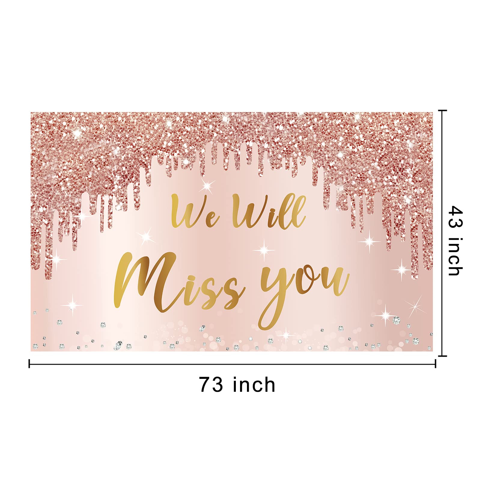 Going Away Party Decorations We Will Miss You Banner Backdrop for Women, Rose Gold Goodbye Farewell Party Sign Supplies, Pink Retirement Graduation Party Poster Background Photo Booth Props Decor