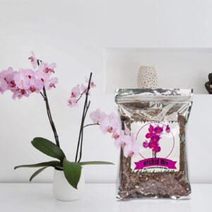 Horticultural Charcoal 1 QT & Orchid Potting Mix 1 QT by Doter