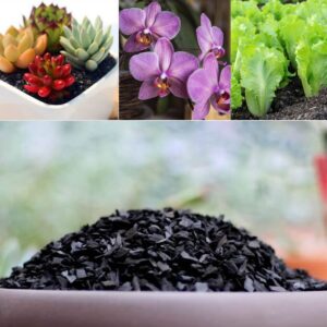 Horticultural Charcoal 1 QT & Orchid Potting Mix 1 QT by Doter