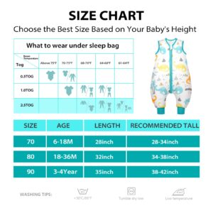 Mosebears Baby Sleep Sack with Feet，Baby Winter Sleep Sack for Toddler Thicken 2.5 TOG (3-4T Years, Baby height 38-42 inches)