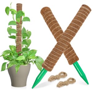 sukh moss totem pole - moss pole for plants monstera 2 pcs 15.7 inch coco coir pole for climbing indoor potted plants training grow upwards with jute string moss stick for plant support extension