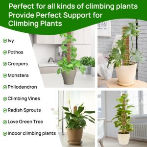 Sukh Moss Totem Pole - Moss Pole for Plants Monstera 2 Pcs 15.7 Inch Coco Coir Pole for Climbing Indoor Potted Plants Training Grow Upwards with Jute String Moss Stick for Plant Support Extension